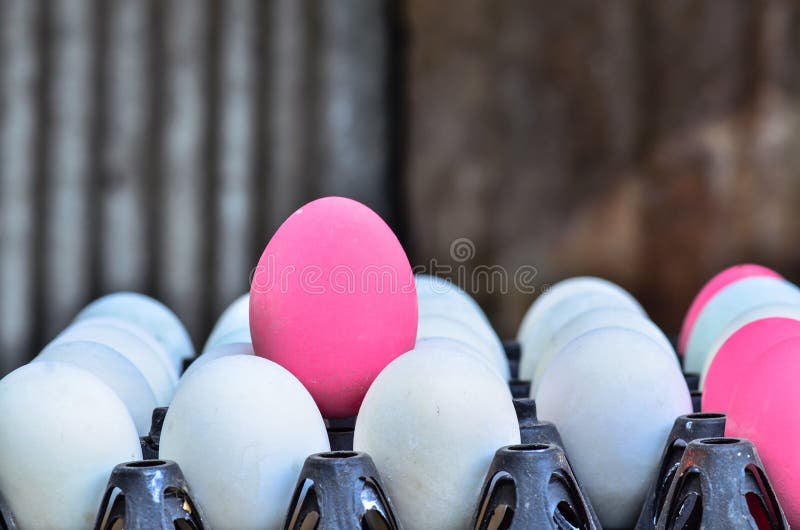 White Eggs with One Red Egg Stock Image - Image of ellipse, clean: 57304555