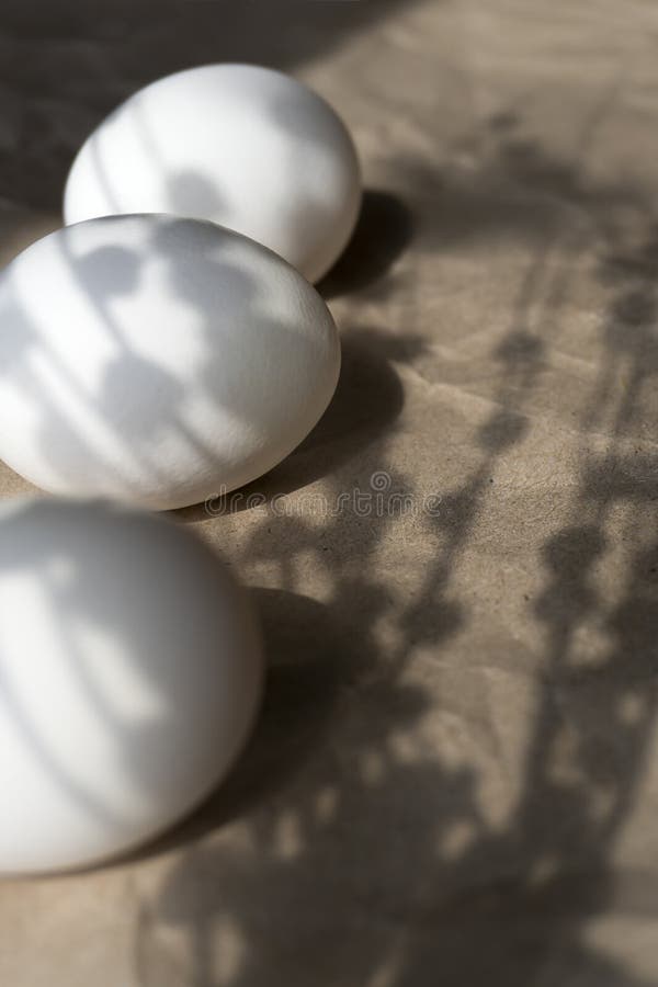 White Eggs are on the Table Stock Photo - Image of kitchen, uncooked: 274837520
