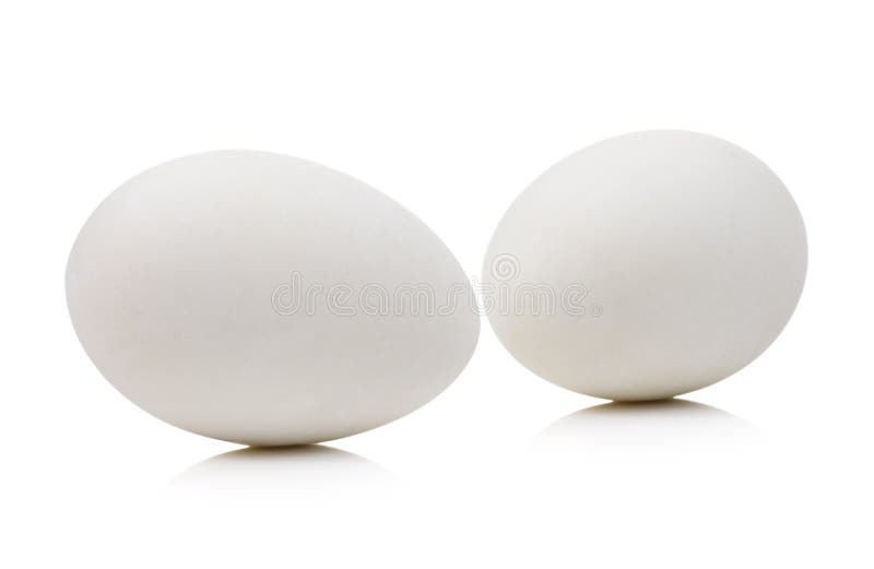 White Eggs on White Background Stock Photo - Image of chicken ...