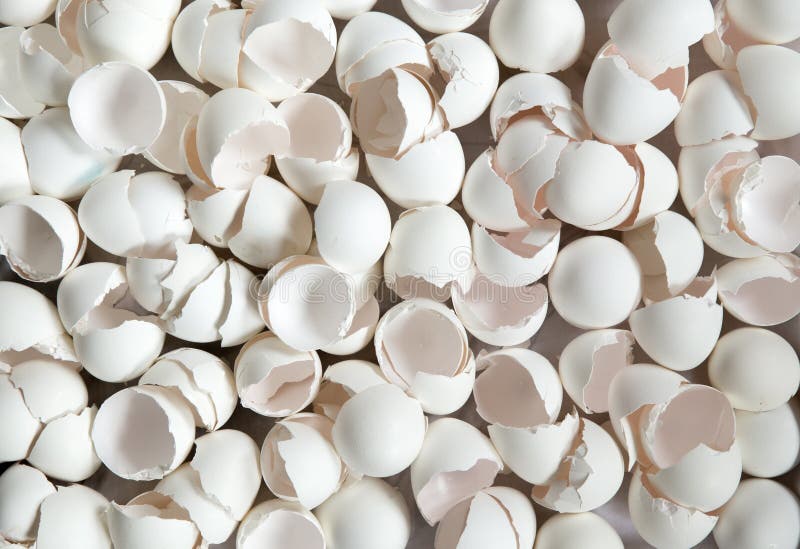 7,254 Eggshell Texture Stock Photos - Free & Royalty-Free Stock Photos ...