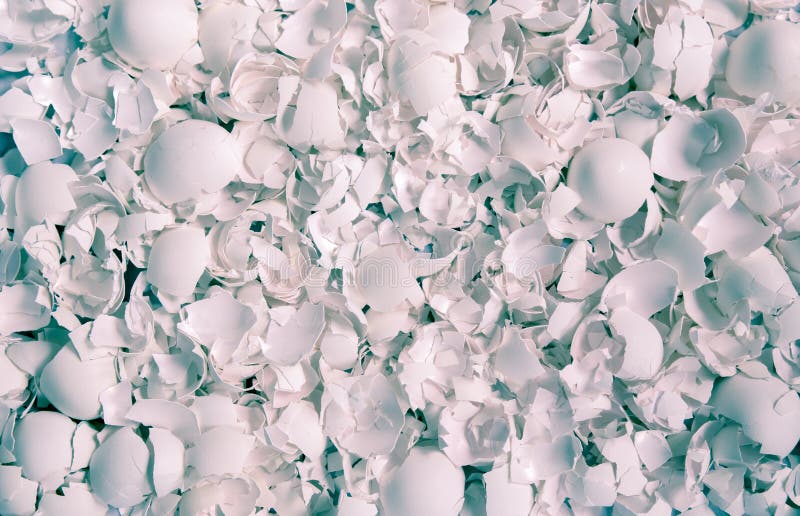 7,254 Eggshell Texture Stock Photos - Free & Royalty-Free Stock Photos ...