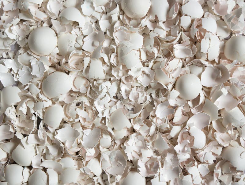 7,254 Eggshell Texture Stock Photos - Free & Royalty-Free Stock Photos ...