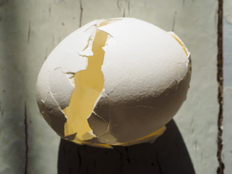 Empty Eggshell - Concept Of Estate Rent Picture. Image: 15472756
