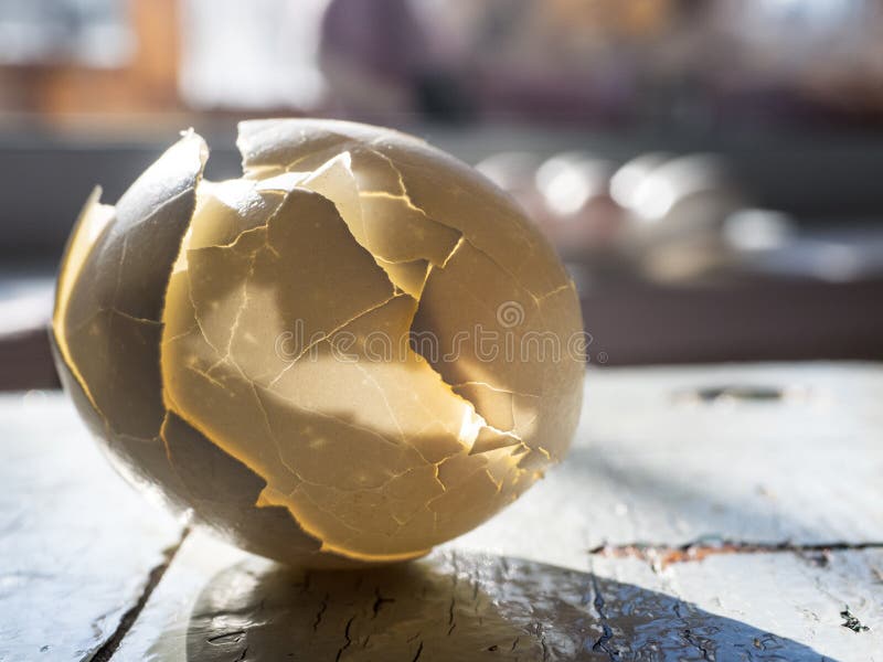 The White Eggshell is Divided into Parts. the Texture of the Shell in ...