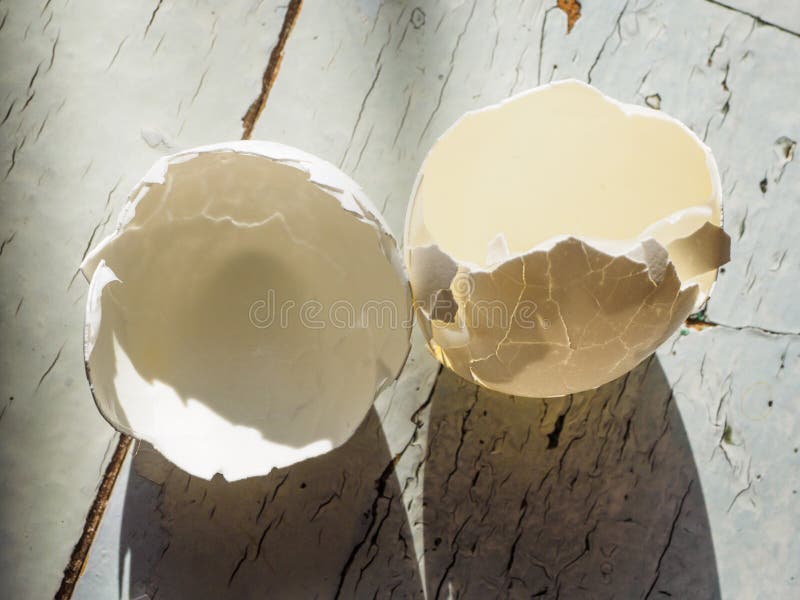 The White Eggshell is Divided into Parts. the Texture of the Shell in ...