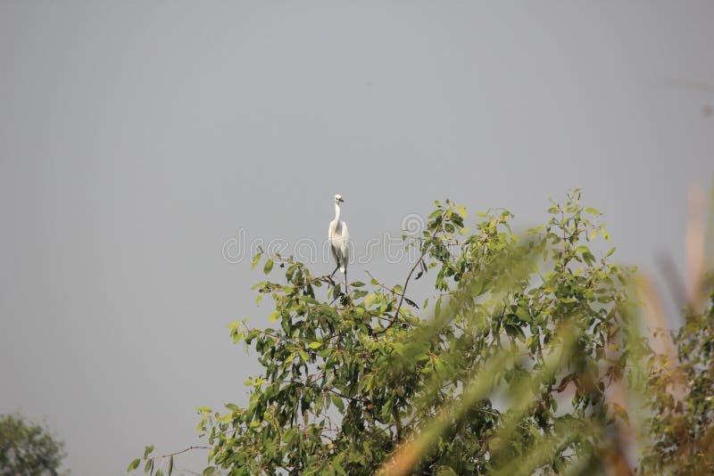 Egrate Seating Stock Photos - Free & Royalty-Free Stock Photos from ...