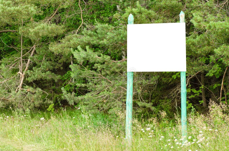 A White Empty Billboard in the Forest among the Trees. Posting ...
