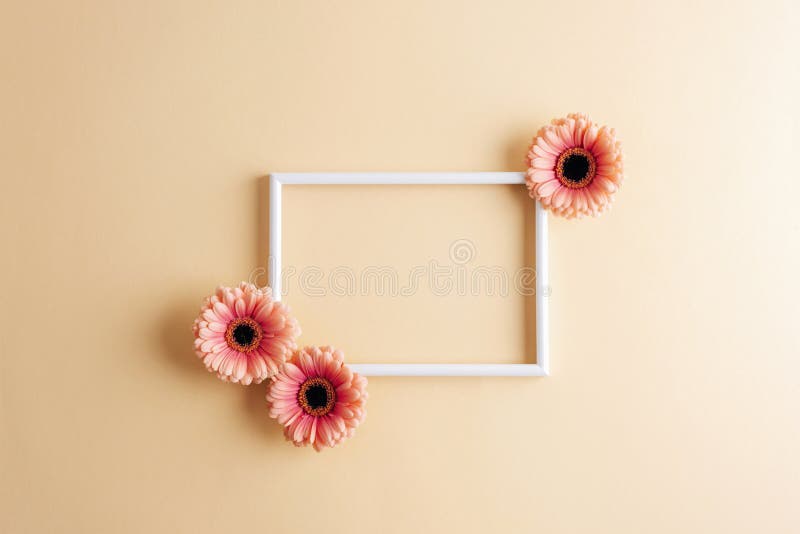 White Empty Frame Decorated with Pink Gerbera Flowers on a Beige ...