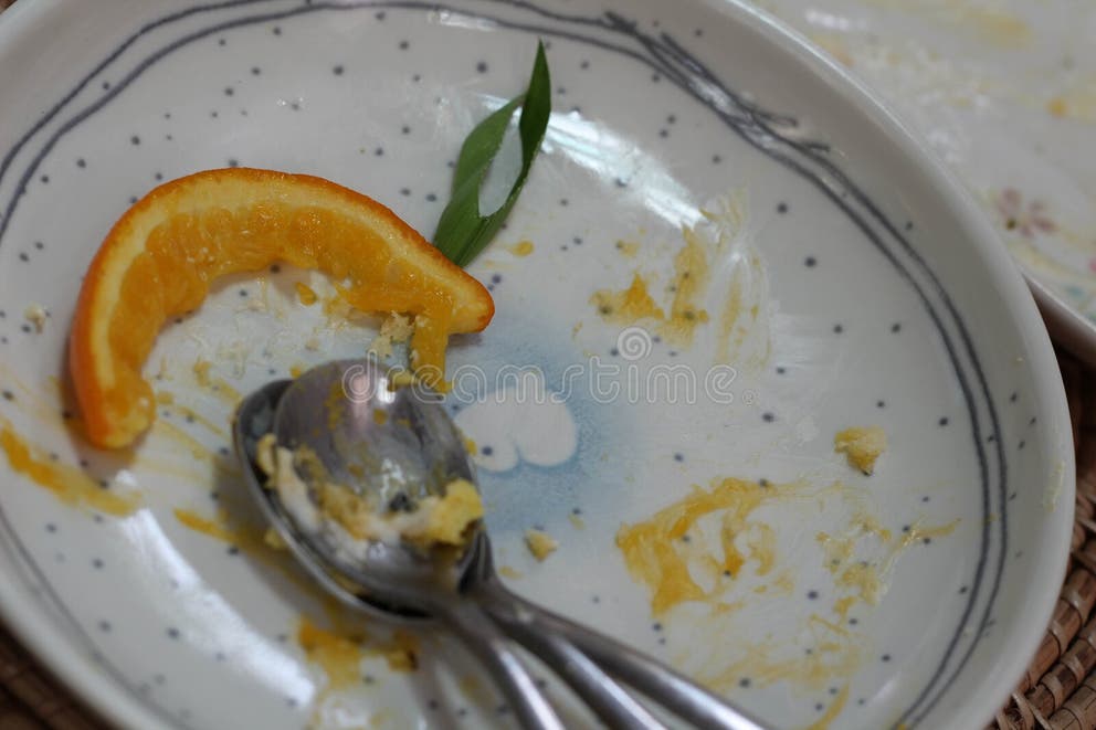 Empty plate after eating stock image. Image of delicious - 290833789