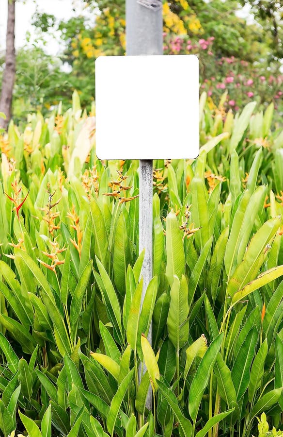 White empty Sign stock photo. Image of guidepost, pillar - 70696342