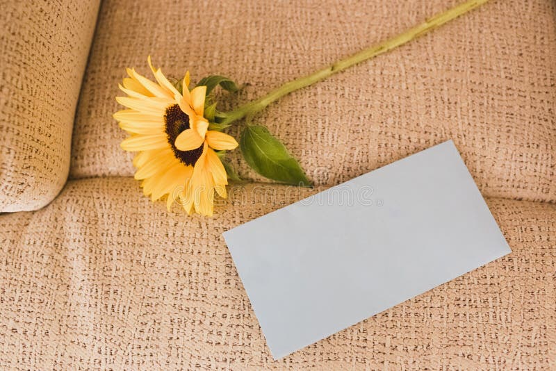182 Sunflower Envelope Stock Photos - Free & Royalty-Free Stock Photos ...