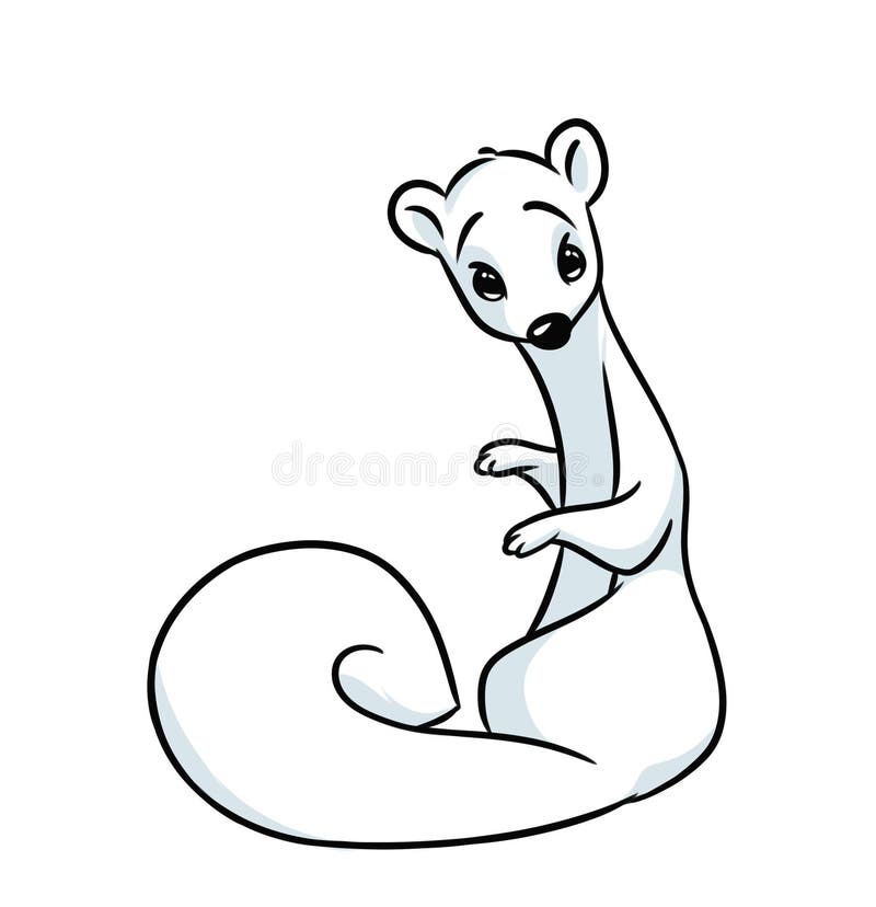 White Ermine Cartoon Illustration Stock Illustration - Illustration of ...