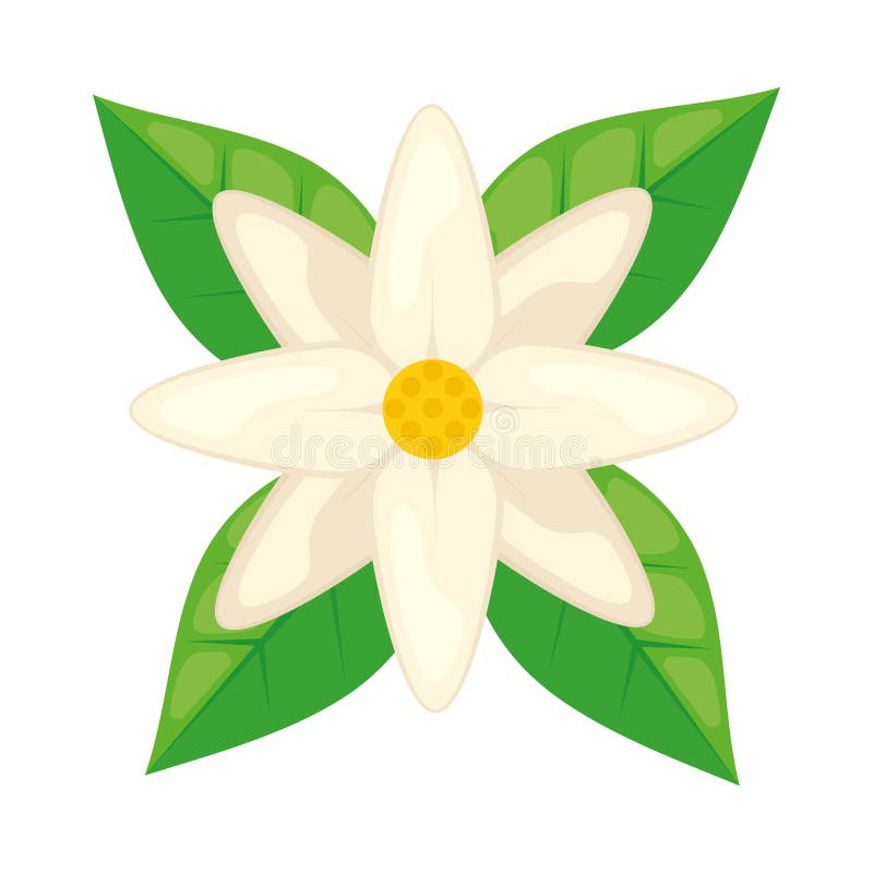 White flower icon stock illustration. Illustration of herb - 255462051