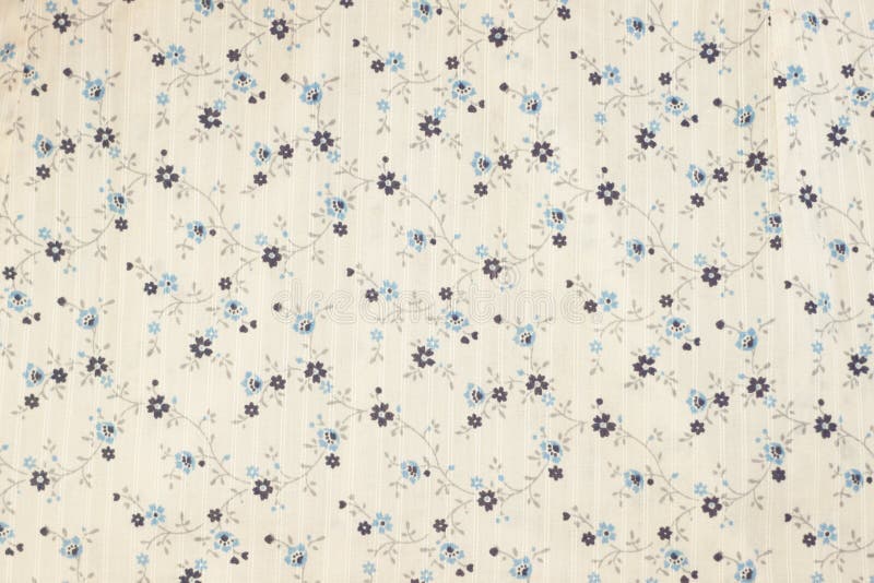 White fabric in a flowers stock photo. Image of flowers - 38620898