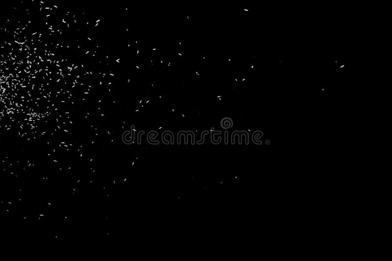 White Falling Particles Round Shape on Black Backround.Glowing Blizzard ...