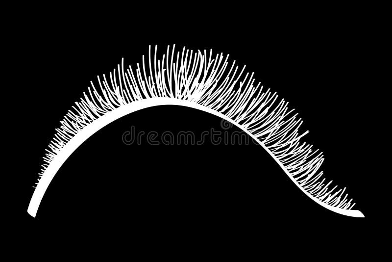White false eyelashes stock vector. Illustration of extension - 129078041