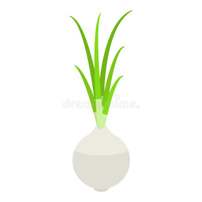 Farm Onion Stock Illustrations – 13,897 Farm Onion Stock Illustrations ...