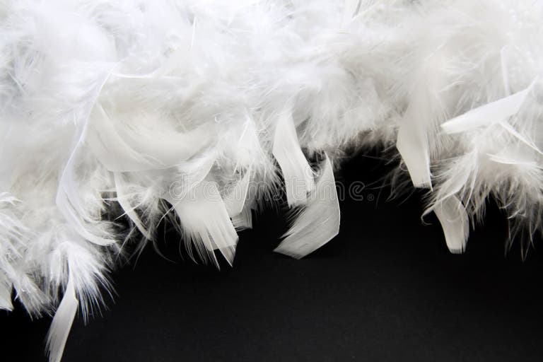 3,202 White Feather Border Stock Photos - Free & Royalty-Free Stock ...