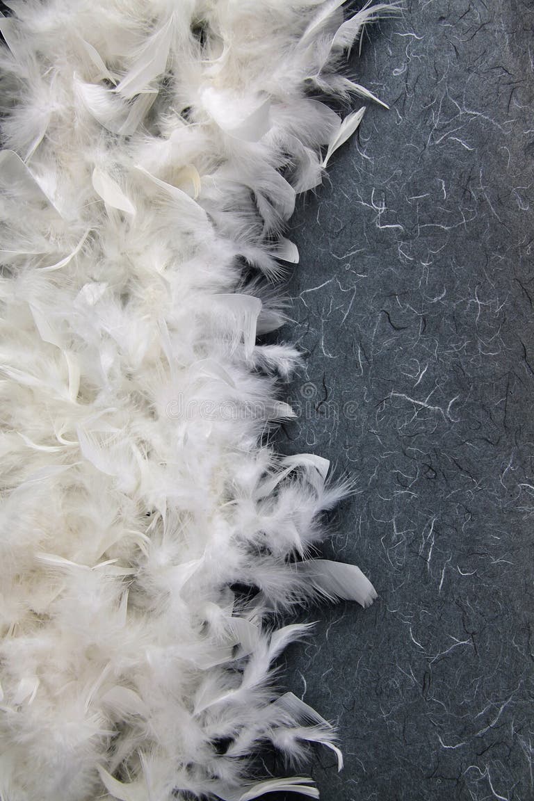 3,336 White Feather Border Stock Photos - Free & Royalty-Free Stock ...