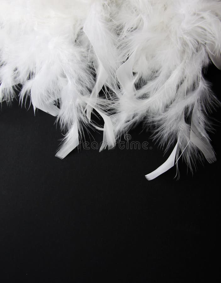 3,336 White Feather Border Stock Photos - Free & Royalty-Free Stock ...