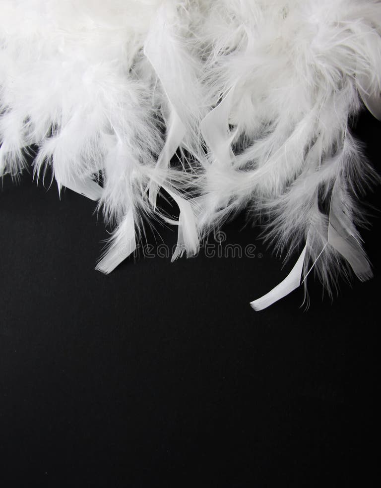 3,336 White Feather Border Stock Photos - Free & Royalty-Free Stock ...