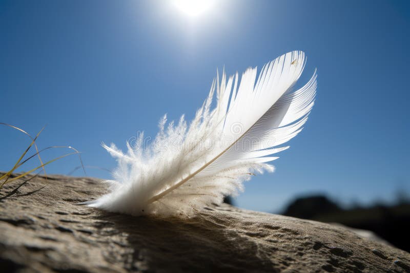 White Feather Blowing in the Wind, Against a Blue Sky Stock ...