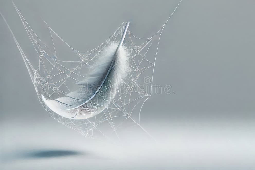 A White Feather Entangled in a Spider S Web. Space for Text. Stock ...