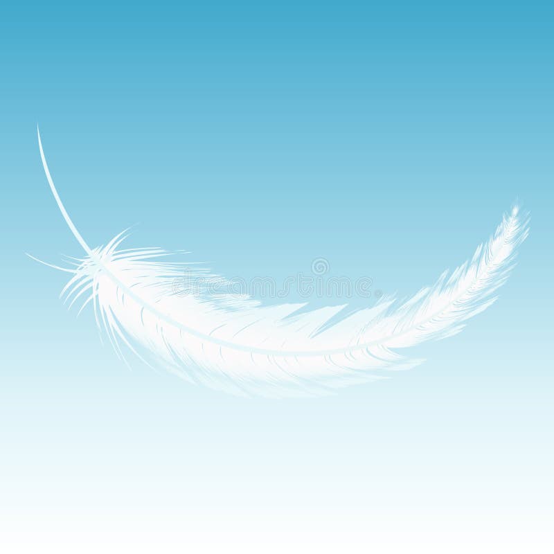 White Feather Fall from the Sky Stock Vector - Illustration of delicate ...