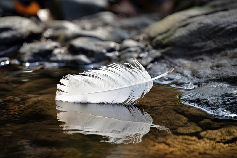 White Feather Floating Down a Stream Stock Illustration - Illustration ...