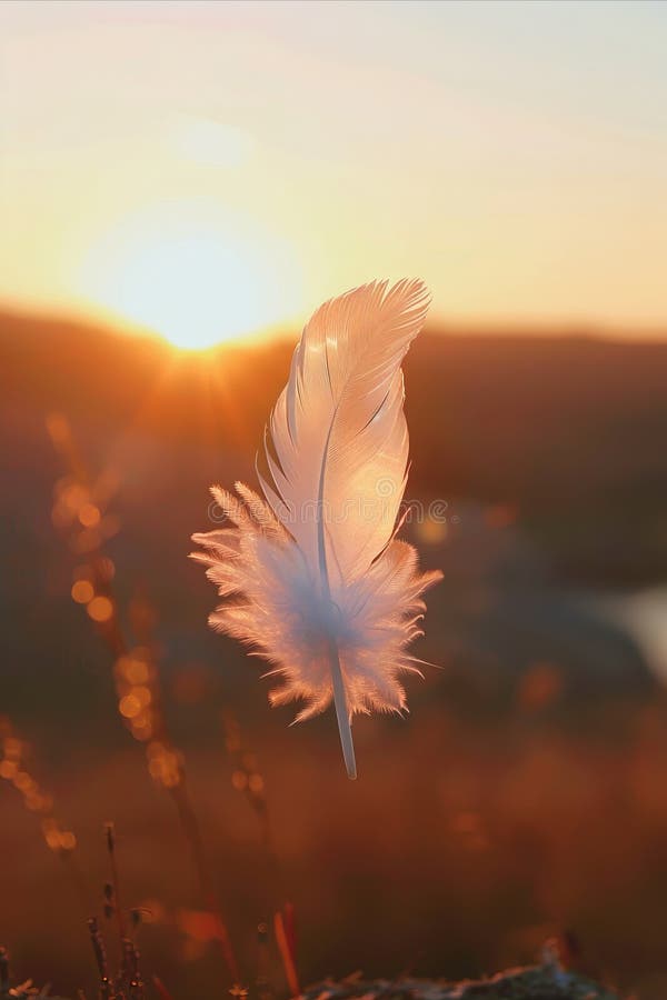 A White Feather Flying in the Air at Sunset Stock Photo - Image of ...