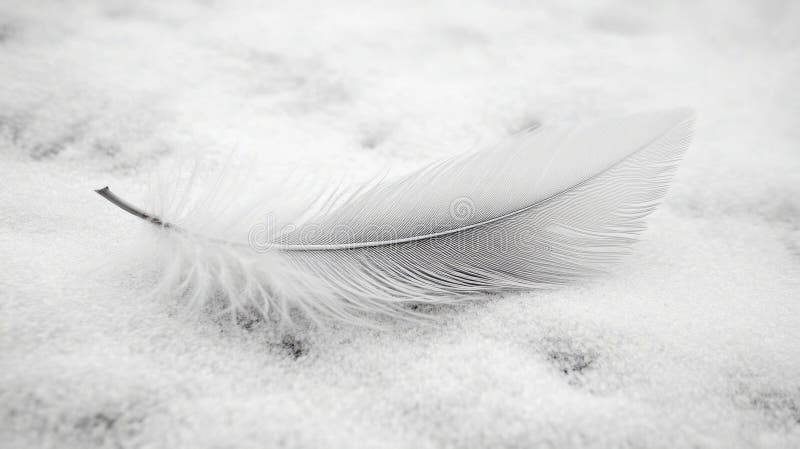 A White Feather is Laying on the Snow Stock Illustration - Illustration ...