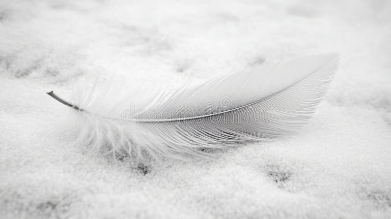 A White Feather is Laying on the Snow Stock Illustration - Illustration ...