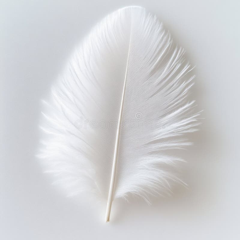 A White Feather with a Long Stick Sticking Out of it, AI Stock Image ...