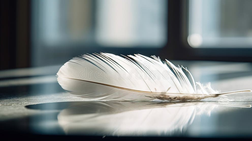 A White Feather Resting on a Table with a Window in the Backgroup of ...