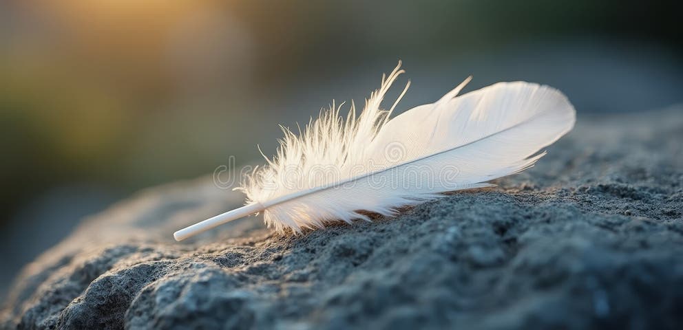 A White Feather Sitting on Top of a Rock Stock Image - Image of sitting ...