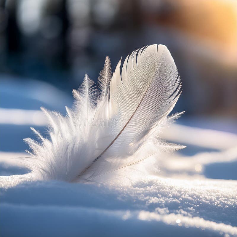 White feather in the snow stock illustration. Illustration of ...