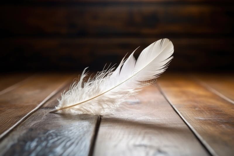 White Feather Softly Landing on a Wooden Table Stock Photo - Image of ...