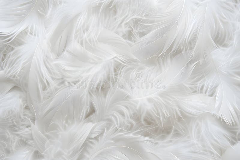 White Feather Texture Background - Soft Fluffy Feathers Stock ...