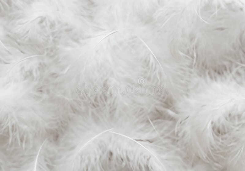 Feather Wooly Pattern Texture Background Stock Illustrations – 19 ...