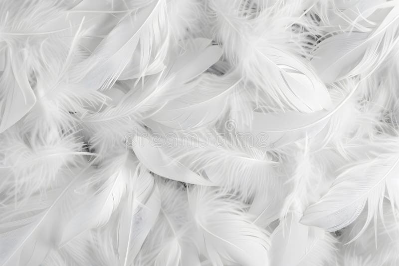 White Feathers Background Texture Pattern Stock Illustration ...