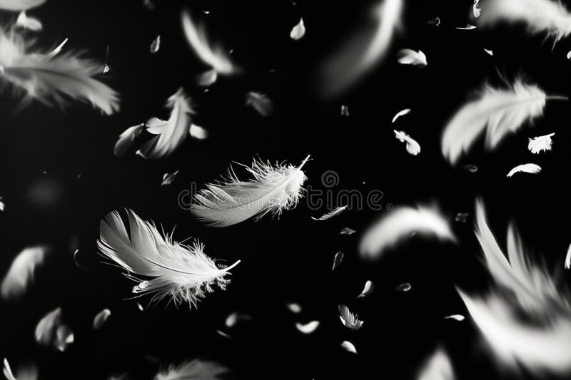 White Feathers Flying in the Air on a Black Background Stock ...