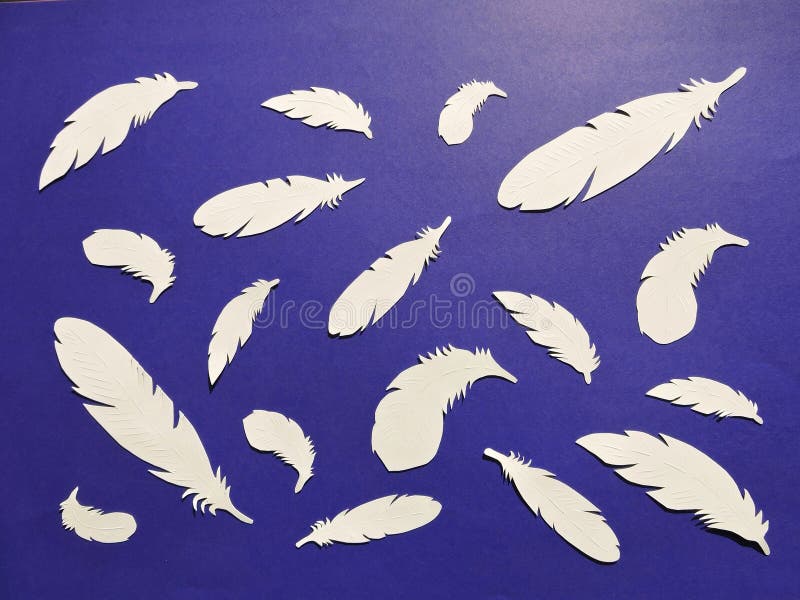 White Feathers Pattern. Paper Cutting. Stock Photo - Image of cutting ...
