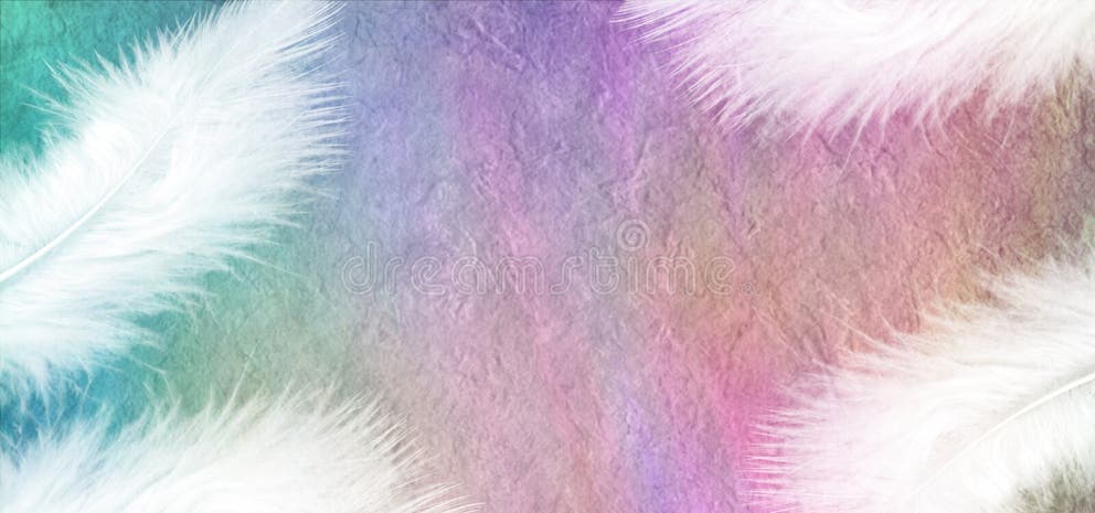 12,100 White Feather Background Frame Stock Photos - Free & Royalty ...