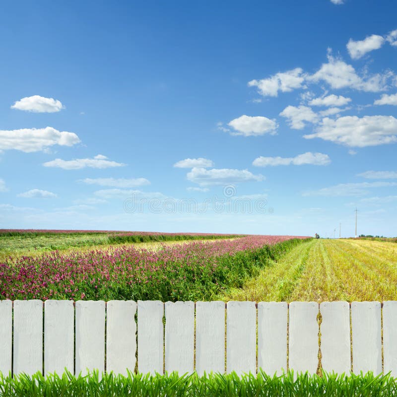White fence stock image. Image of real, color, back, agriculture - 30258311