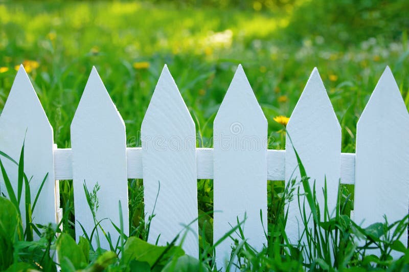 White Fence on a Background of Green Grass Stock Photo - Image of hedge ...
