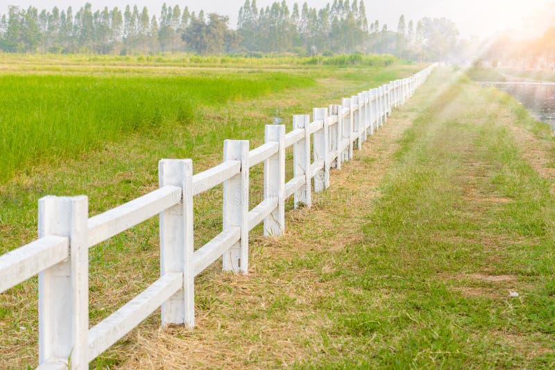 White fence in farm stock photo. Image of gate, pattern - 67334628
