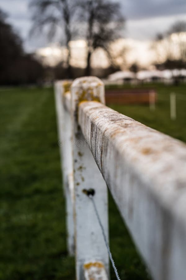 White fence in the field stock photo. Image of meadow - 268132752