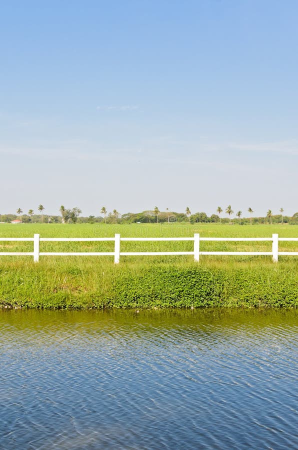 White fence stock photo. Image of environment, meadow - 29790546