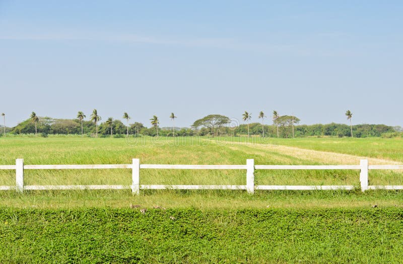 White fence stock image. Image of tree, farmland, wood - 29868945