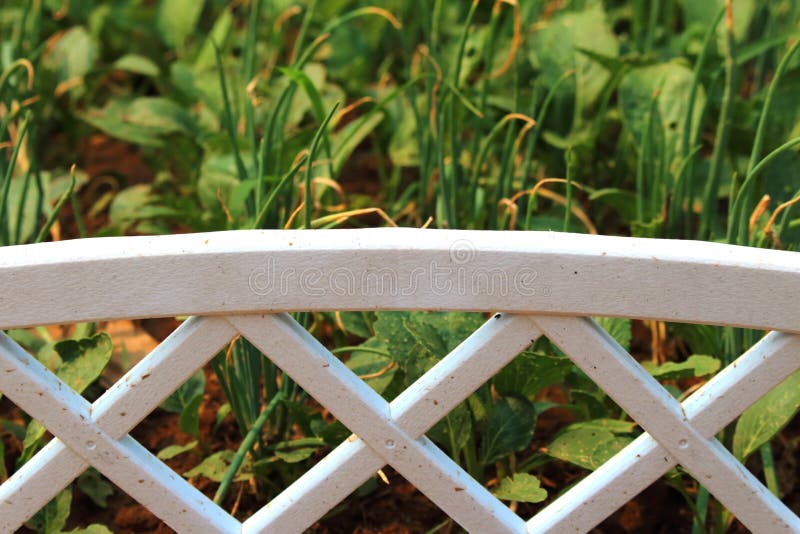 White fence at plot stock photo. Image of white, garden - 154456084